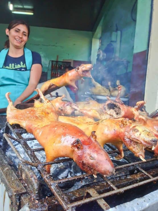 Would You Eat Guinea Pig in Peru? Two Travellers Give Their Verdict!
