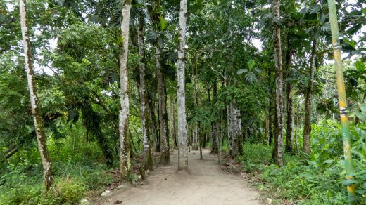 Tena, Ecuador | Guide to Ecuador's Rafting & Kayaking Capital!