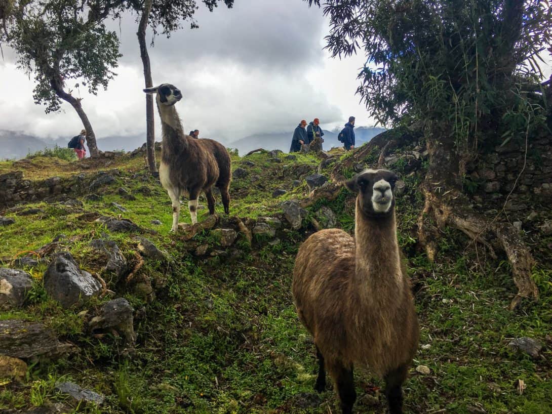 Kuélap, Peru | The Best Way to Visit "Machu Picchu of the North"