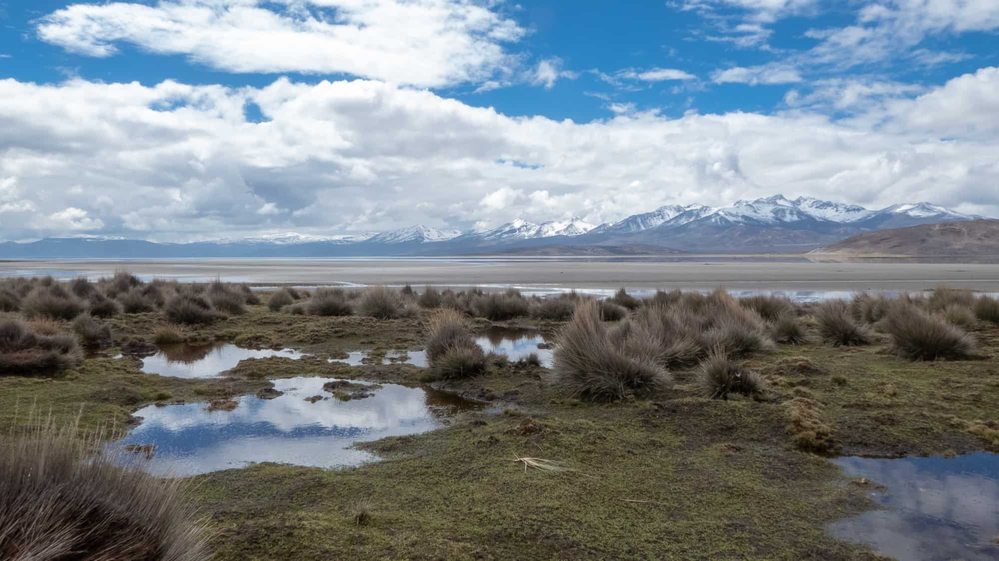 A Trip to Salinas Salt Lagoon - Arequipa, Peru's Best Kept Secret!