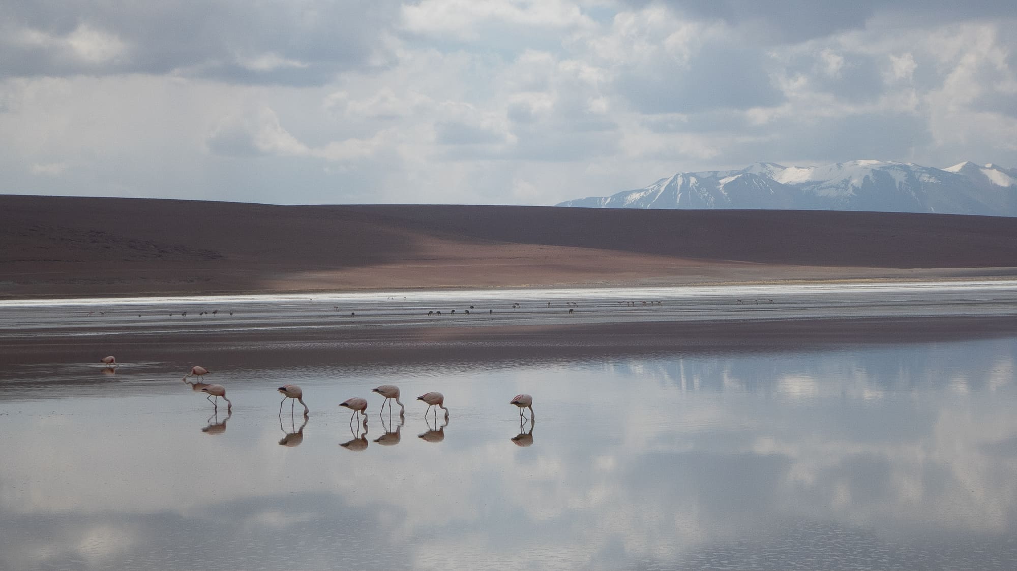 Salar de Uyuni & More of Bolivia's Most Stunning Landscapes in 3 Days