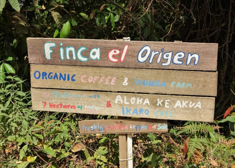 21 Surprising Facts About South America