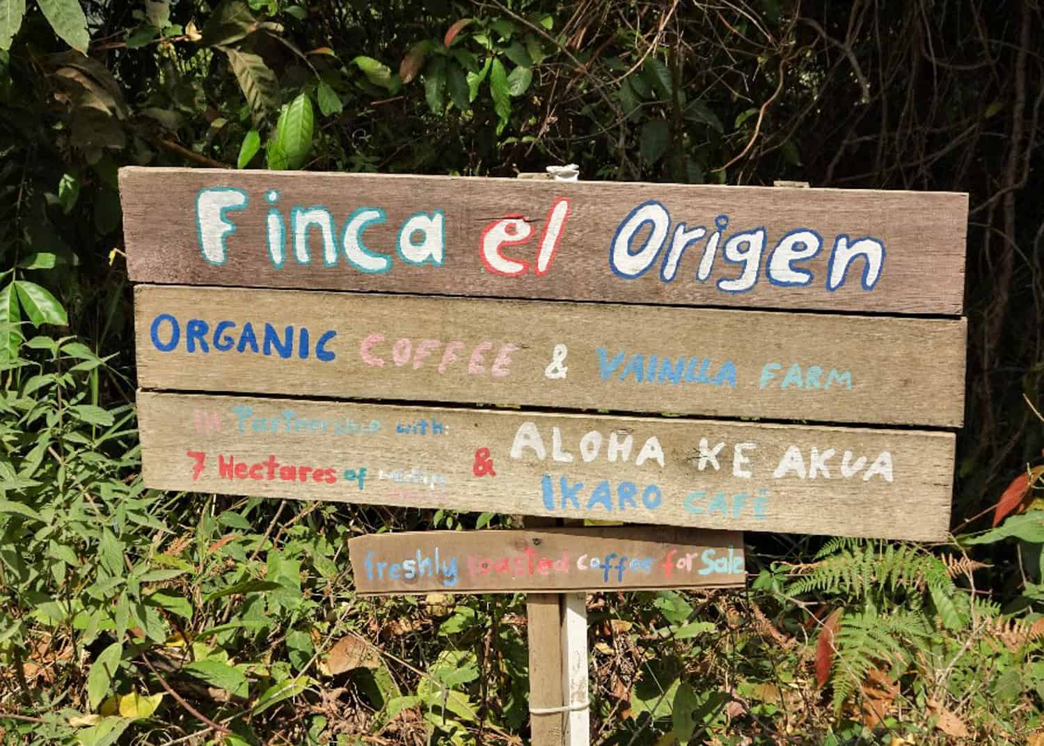 21 Surprising Facts About South America