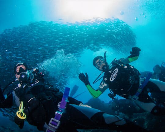 Galapagos: Diving & Hiking on Ecuador's Magical Islands!