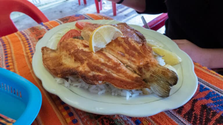 Bolivian Food: 22 Dishes That Your Tastebuds Need to Experience!