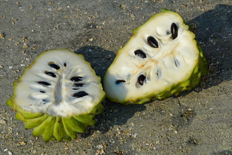 Peruvian Fruit: 17 Unique Taste Explosions You Must Try!