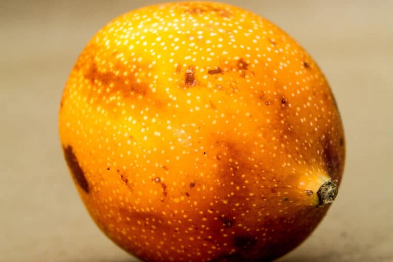 Peruvian Fruit: 17 Unique Taste Explosions You Must Try!