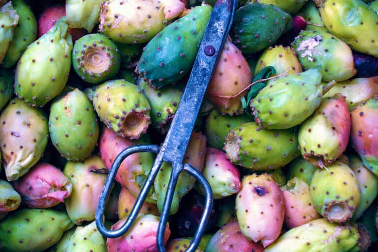 Peruvian Fruit: 17 Unique Taste Explosions You Must Try!