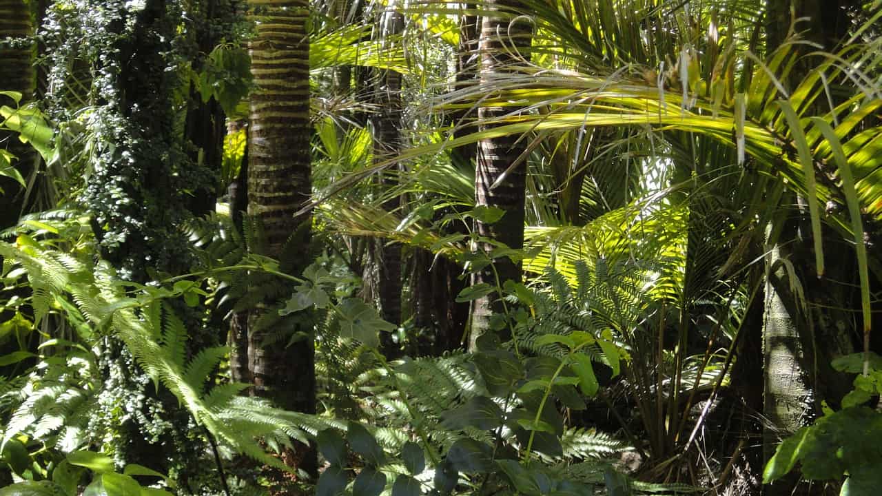 21 Surprising Facts About South America