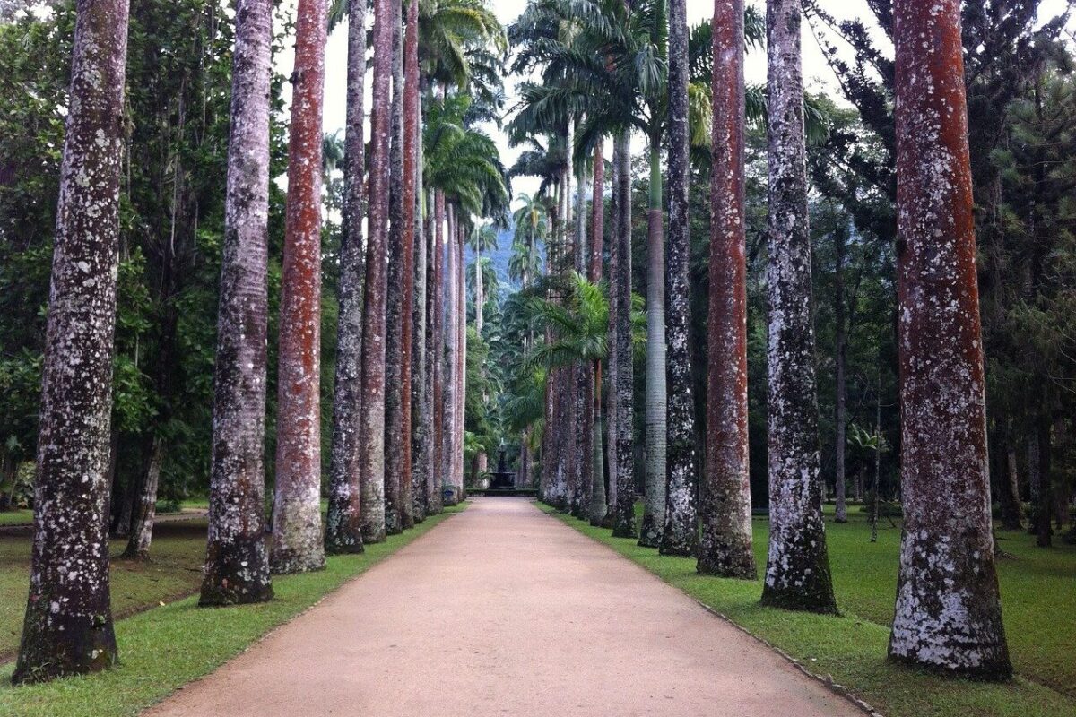 17 Free (Or Nearly Free) Things to Do in Rio de Janeiro, Brazil