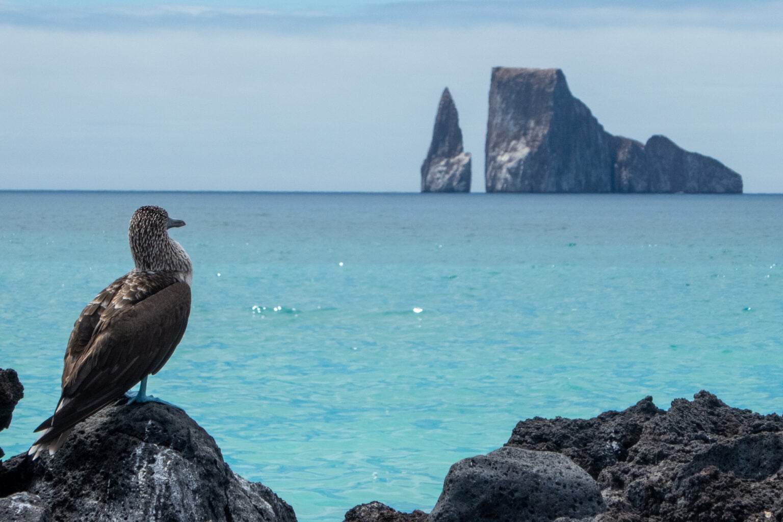 Landmarks in South America: Famous and Lesser-Visited Spots!