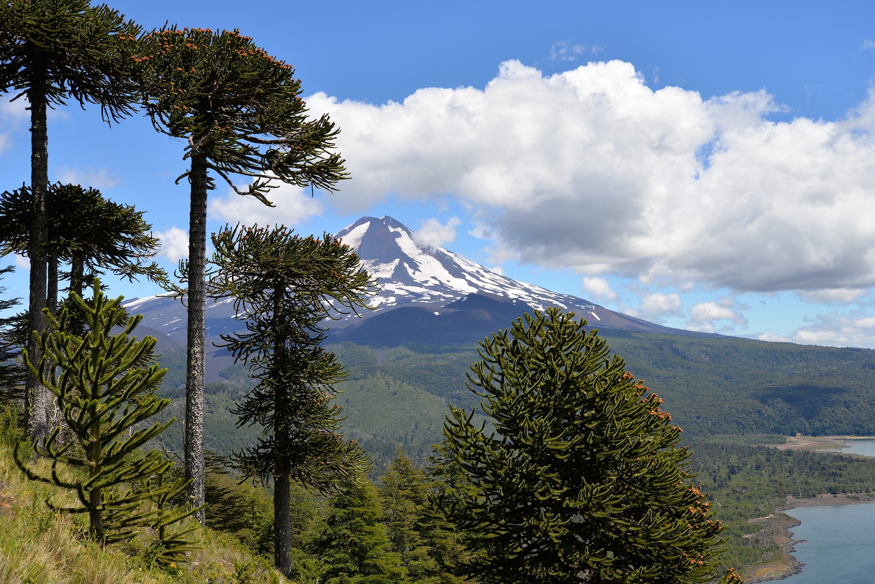Most Breathtaking National Parks in Chile