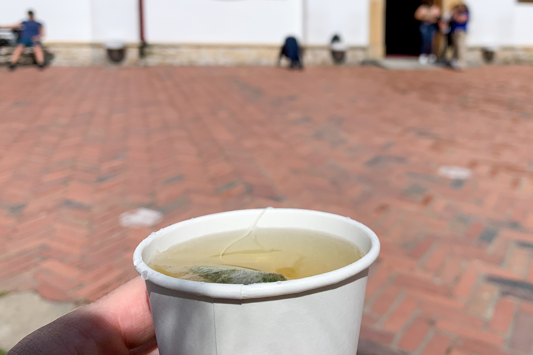 Bogotá Food Guide – Gorge Yourself in Colombia’s Capital!
