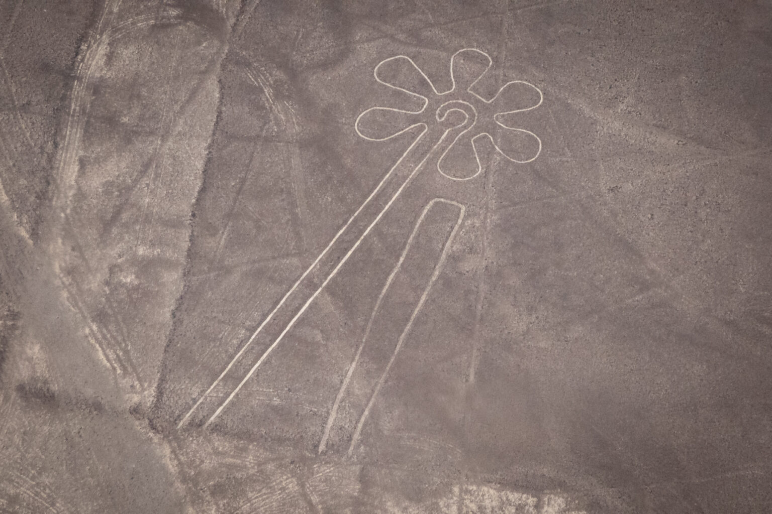 How To See The Nazca Lines – Everything You Need To Know!