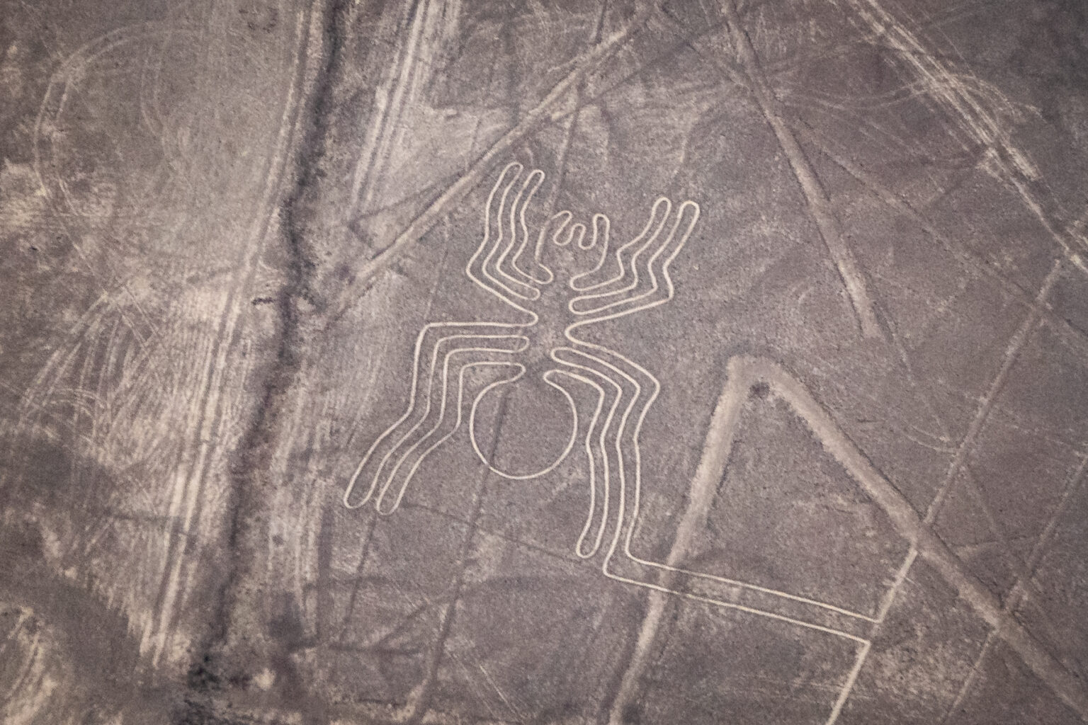 How To See The Nazca Lines – Everything You Need To Know!