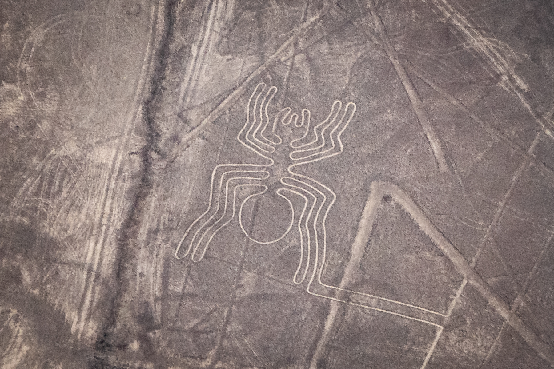 How To See The Nazca Lines – Everything You Need To Know!