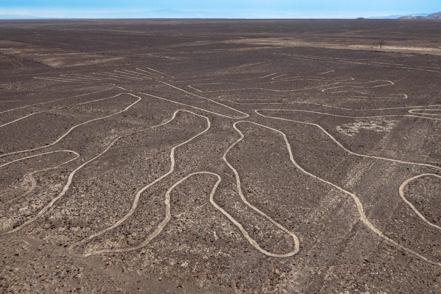 How To See The Nazca Lines – Everything You Need To Know!
