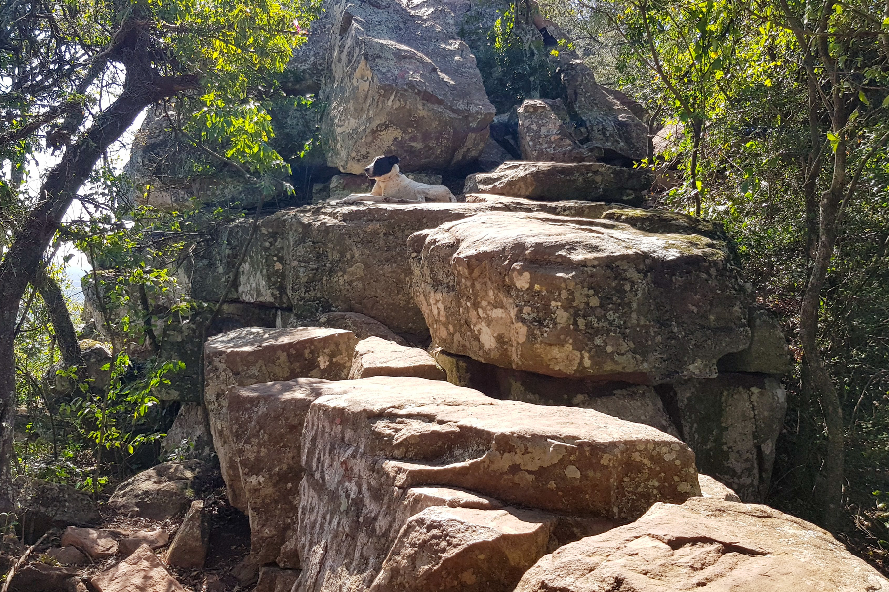 Paraguarí, Paraguay – Budget Travel Guide