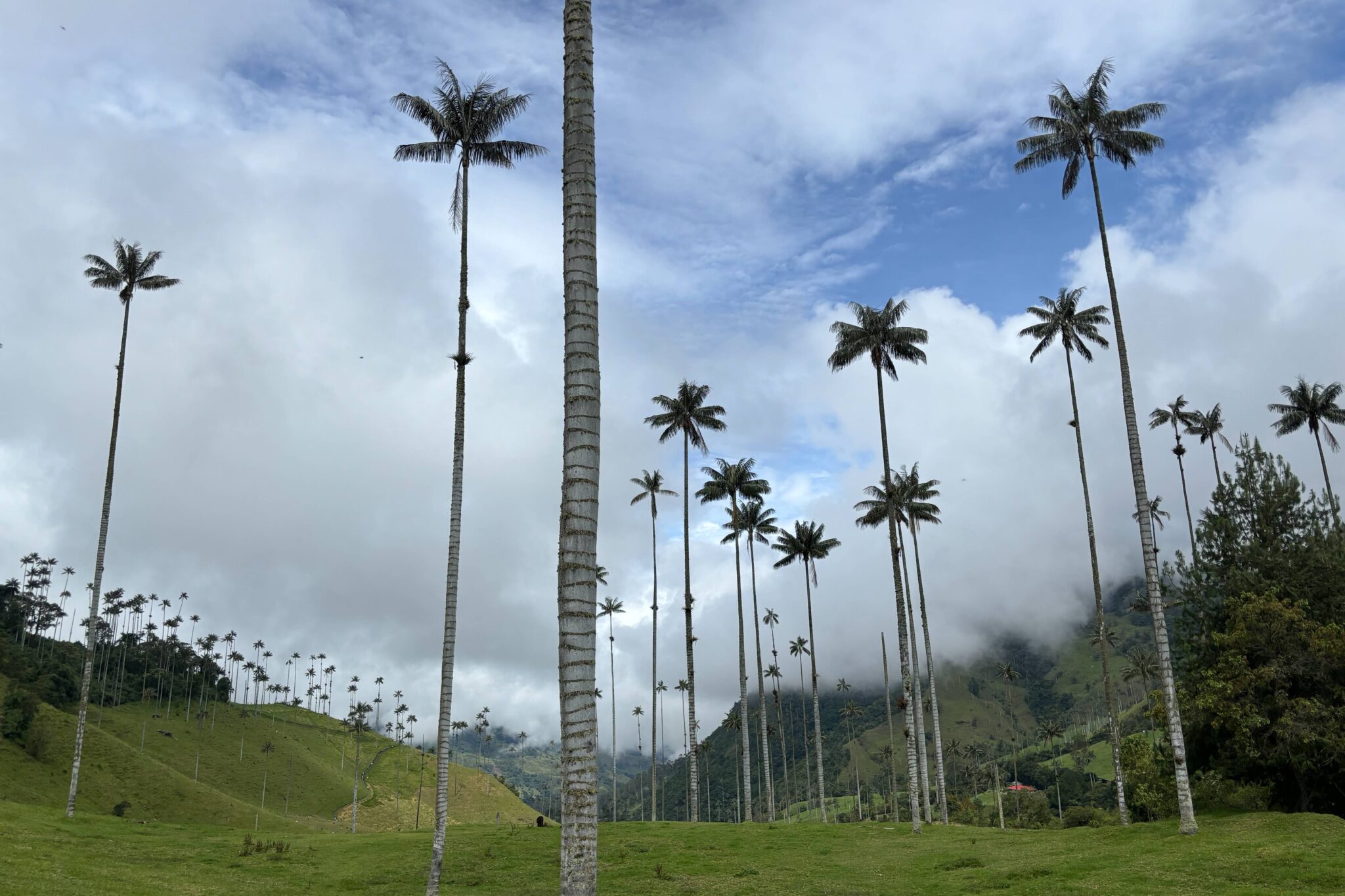 Plan Your Colombia Itinerary – From 10 Days to 1 Month!