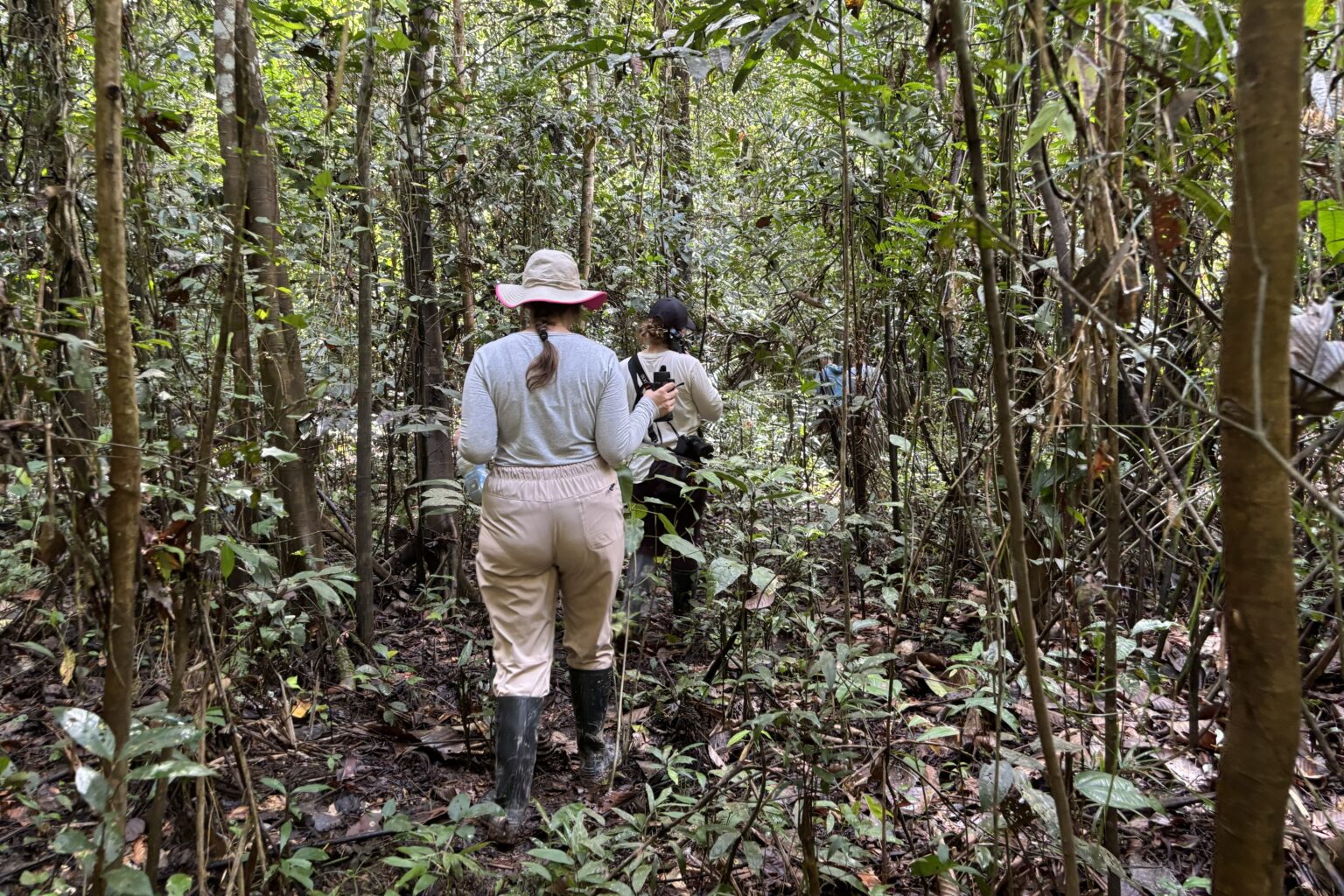 Leticia, Colombia – Travel Guide