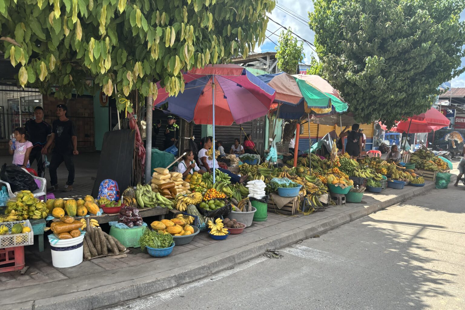 Leticia, Colombia – Travel Guide