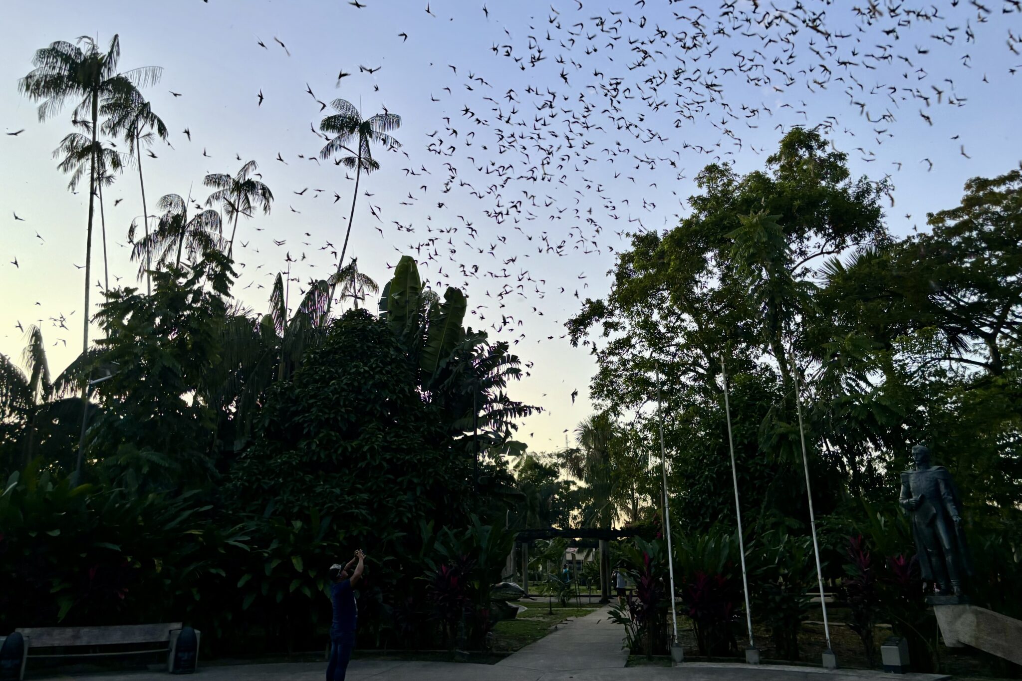 Leticia, Colombia – Travel Guide