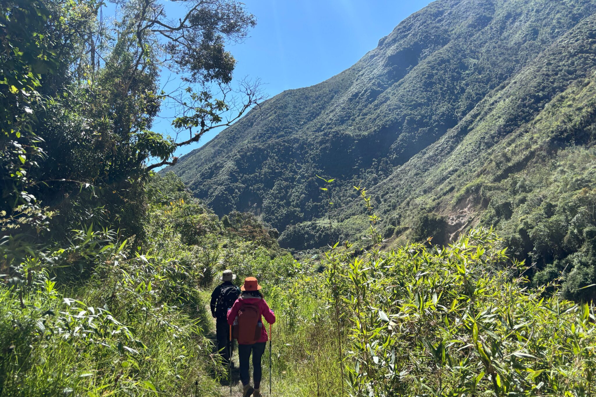 The Salkantay Trek, Peru - The Ultimate Guide