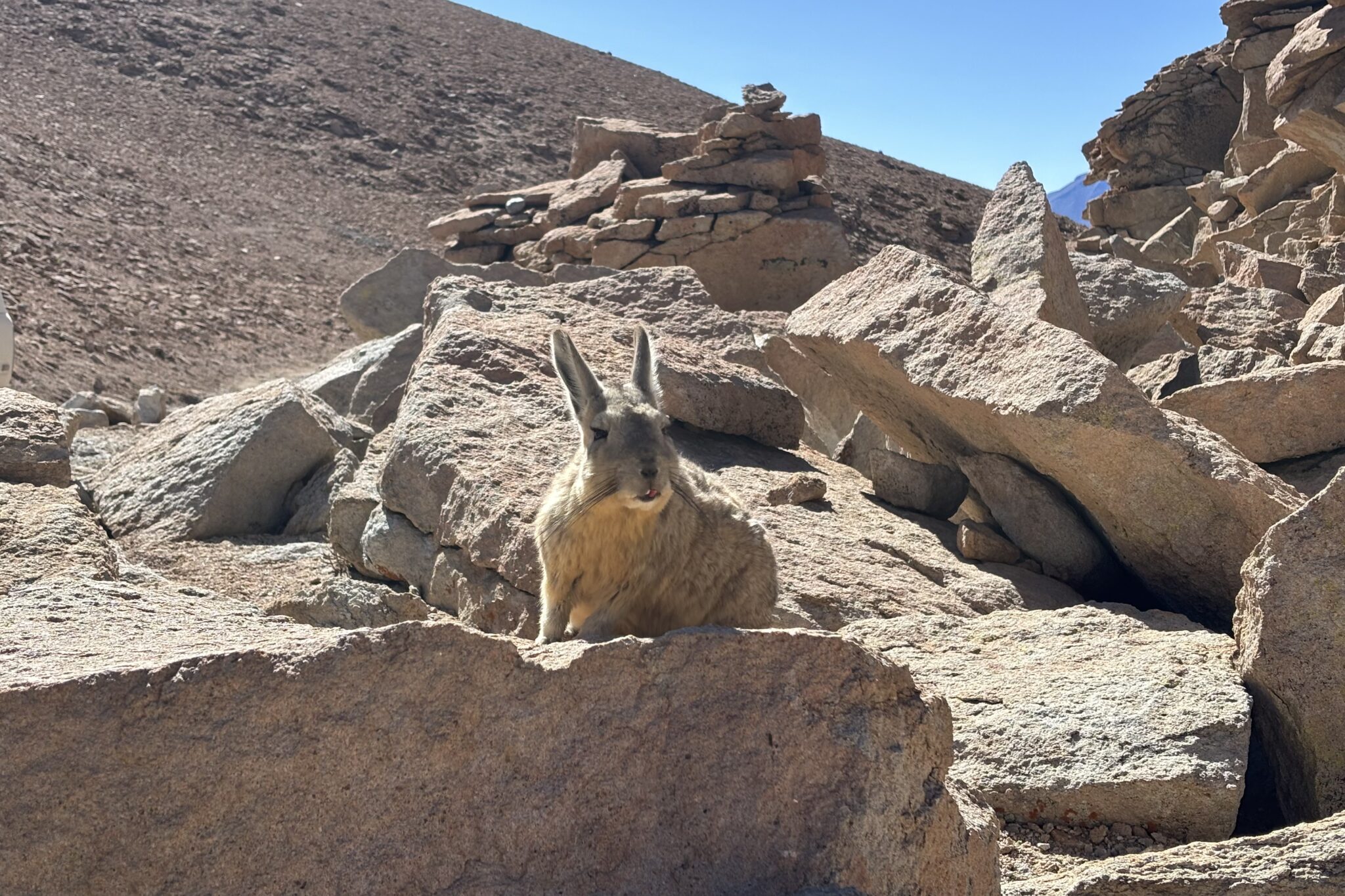 Bolivia Salt Flats (Salar de Uyuni) – A Complete Guide